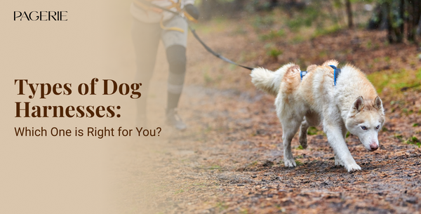 Types of Dog Harnesses by Pagerie - Choose the Best Fit